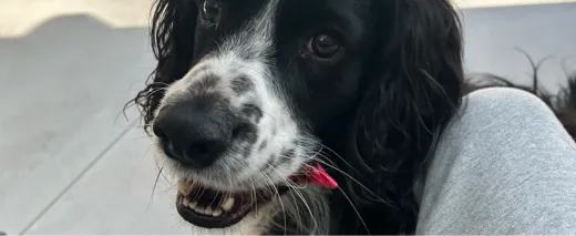 Mighty Mitch | Published - MakerWorld