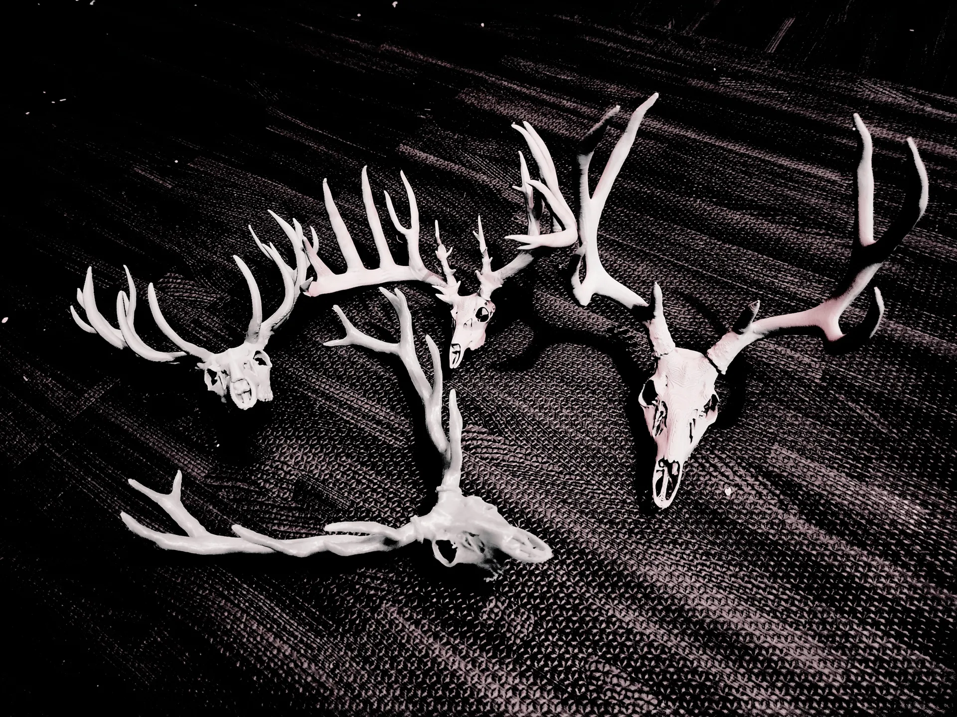 DTM247 | Publicado - MakerWorld