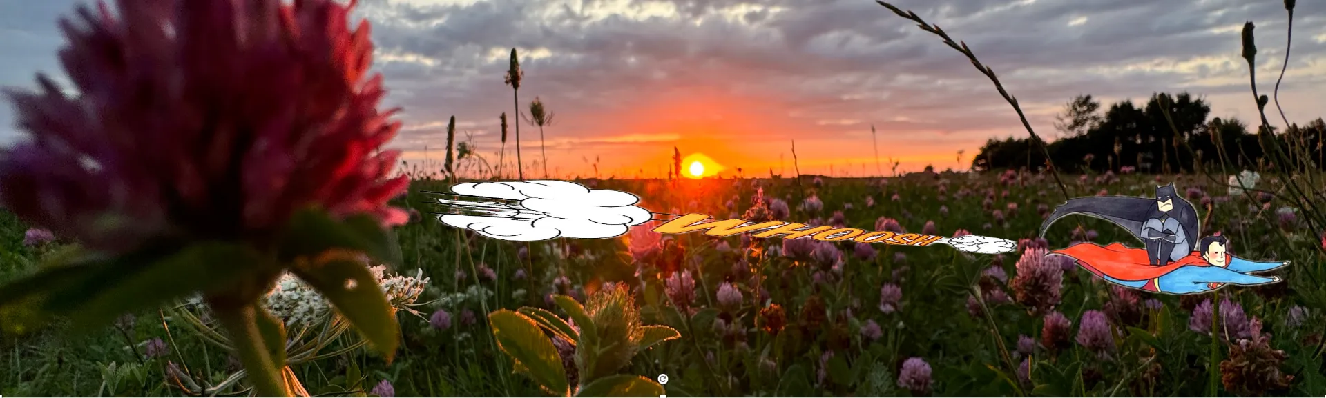 Pombay | Published - MakerWorld