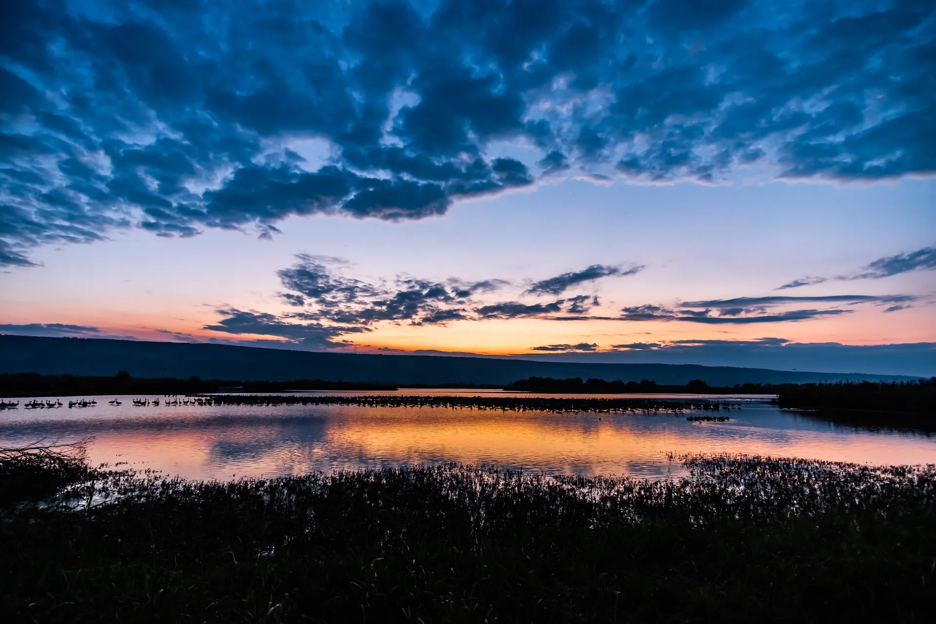 ristlin | Publicado - MakerWorld