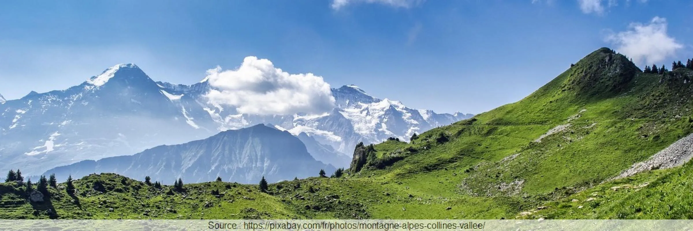 Pierre P | Kollektionen - MakerWorld