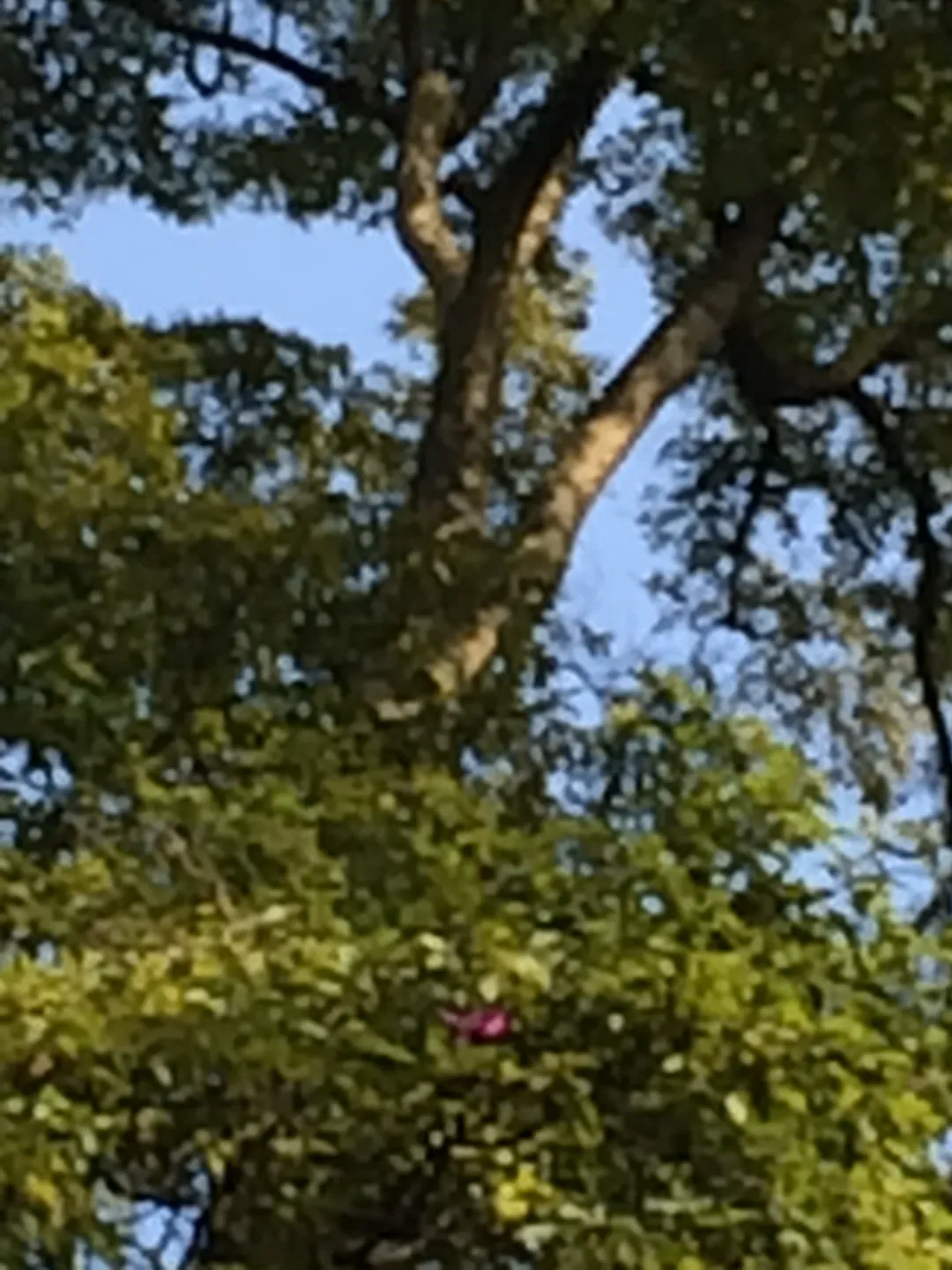 EON | Published - MakerWorld