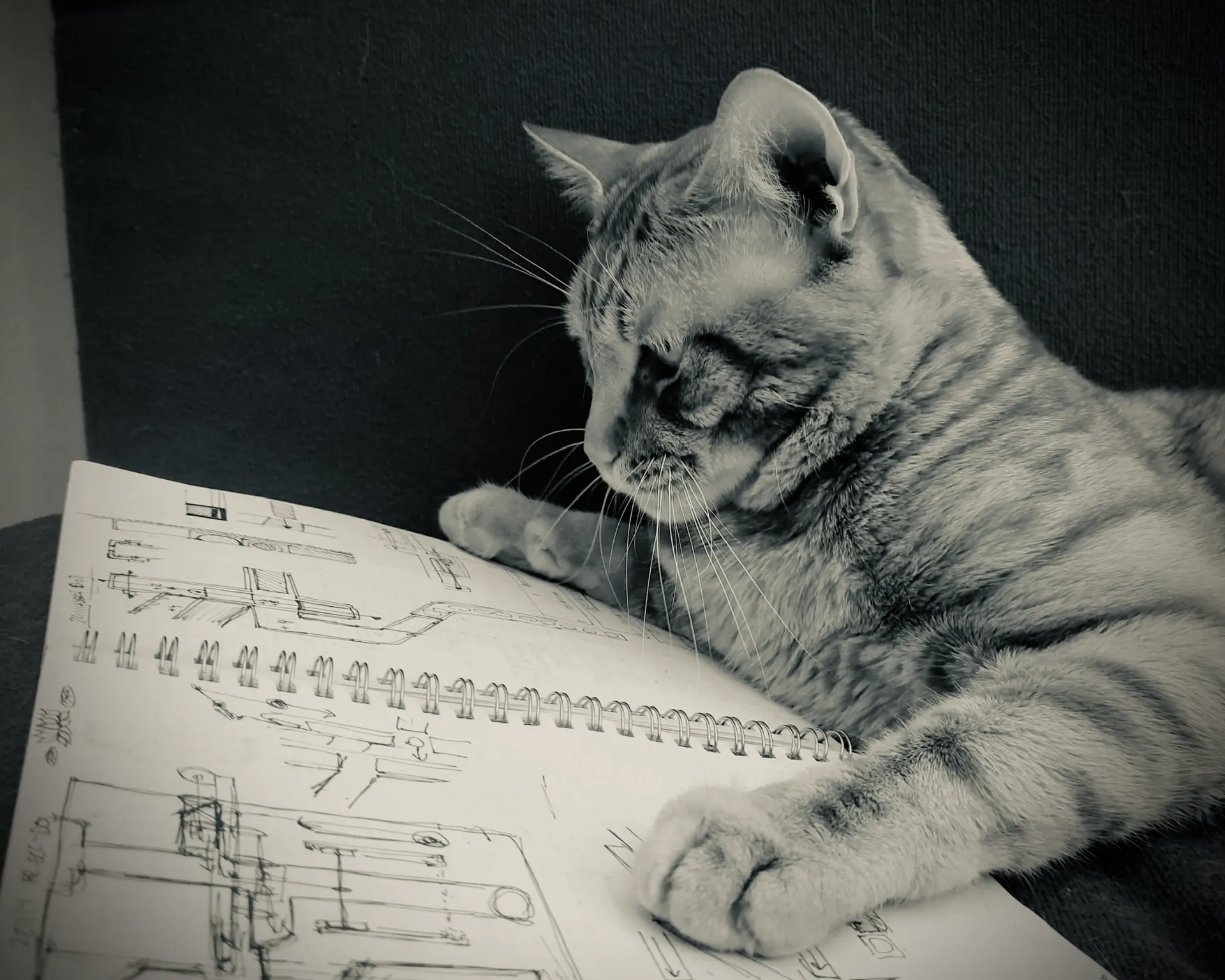 SAAK.Studio | Published - MakerWorld