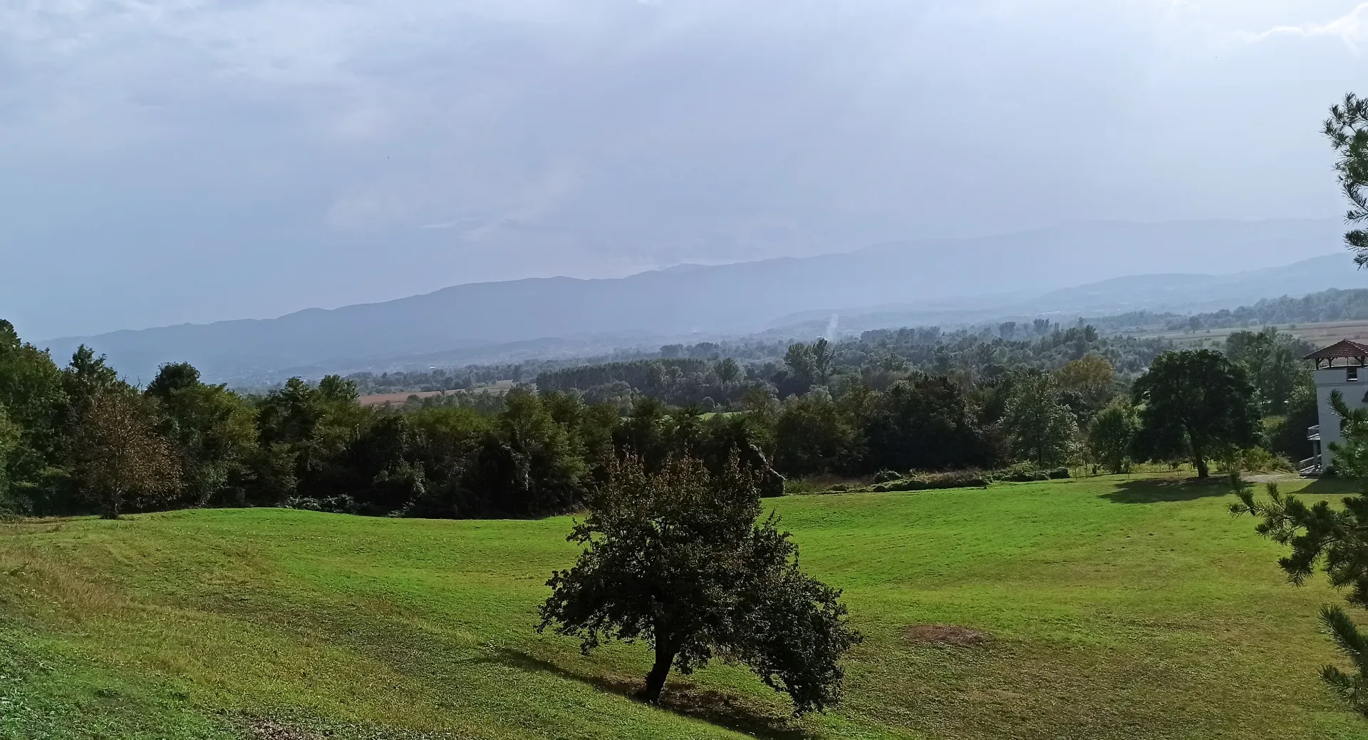 Tommyred | Home - MakerWorld