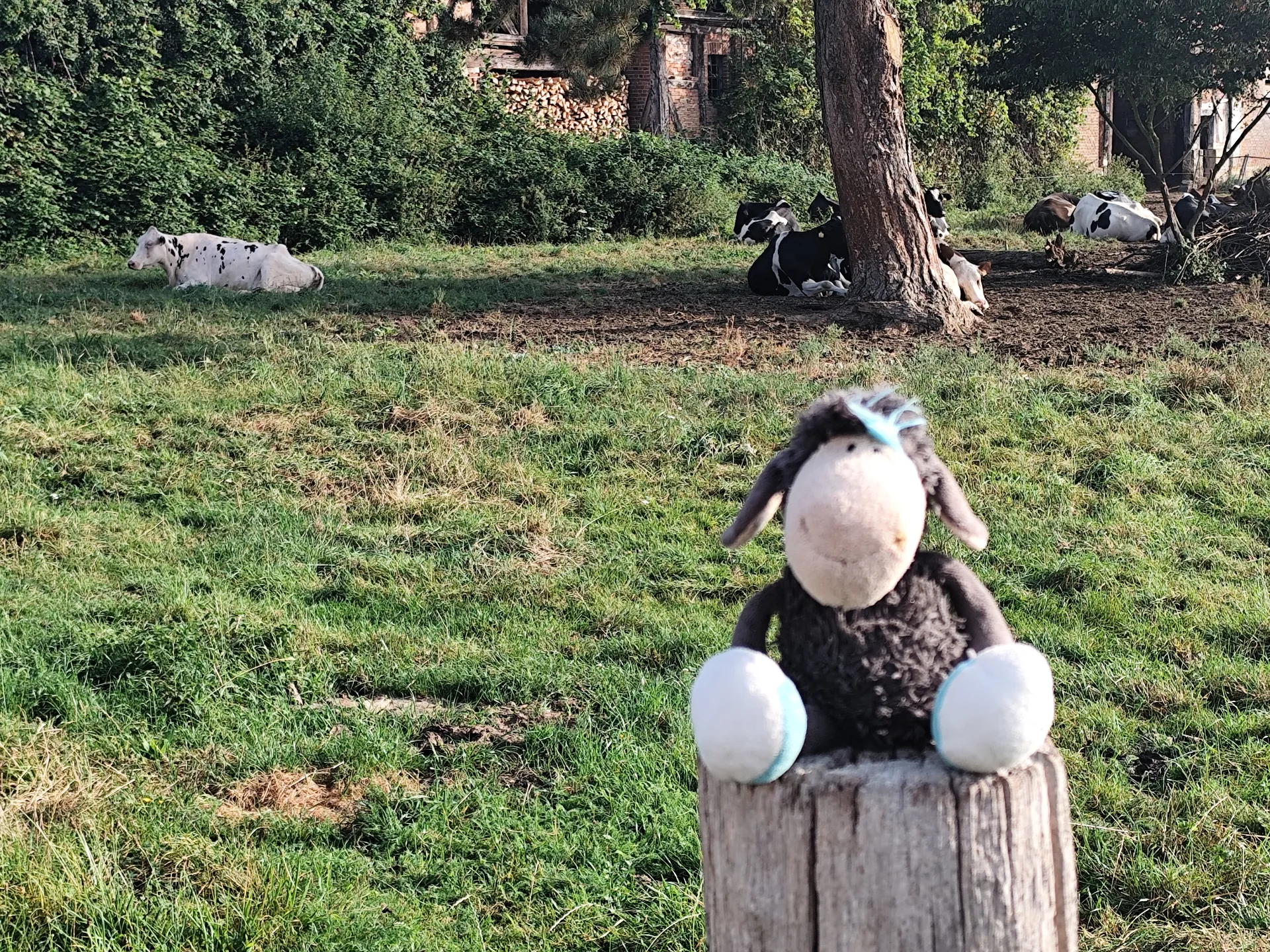 _woodman__ | Published - MakerWorld