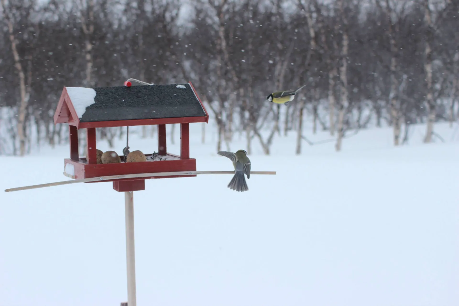 stianap | Startseite - MakerWorld