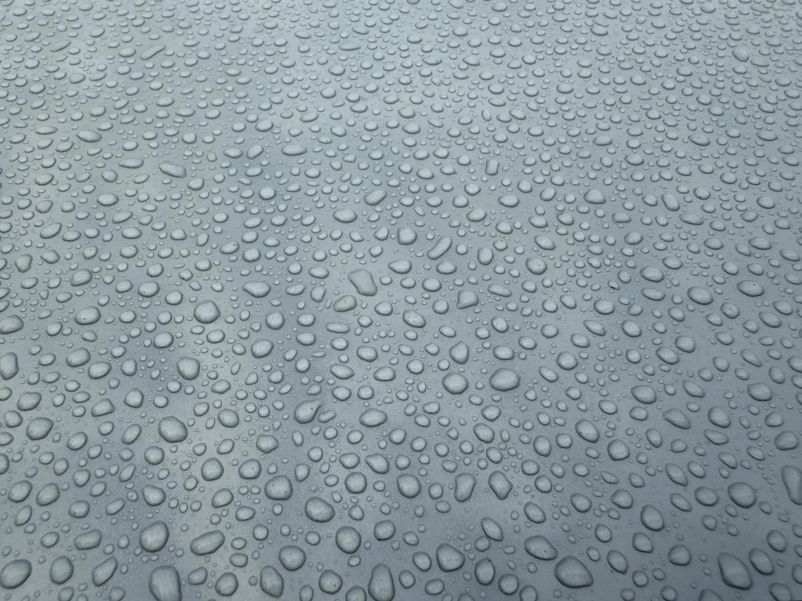 StephenSeagull | Inicio - MakerWorld