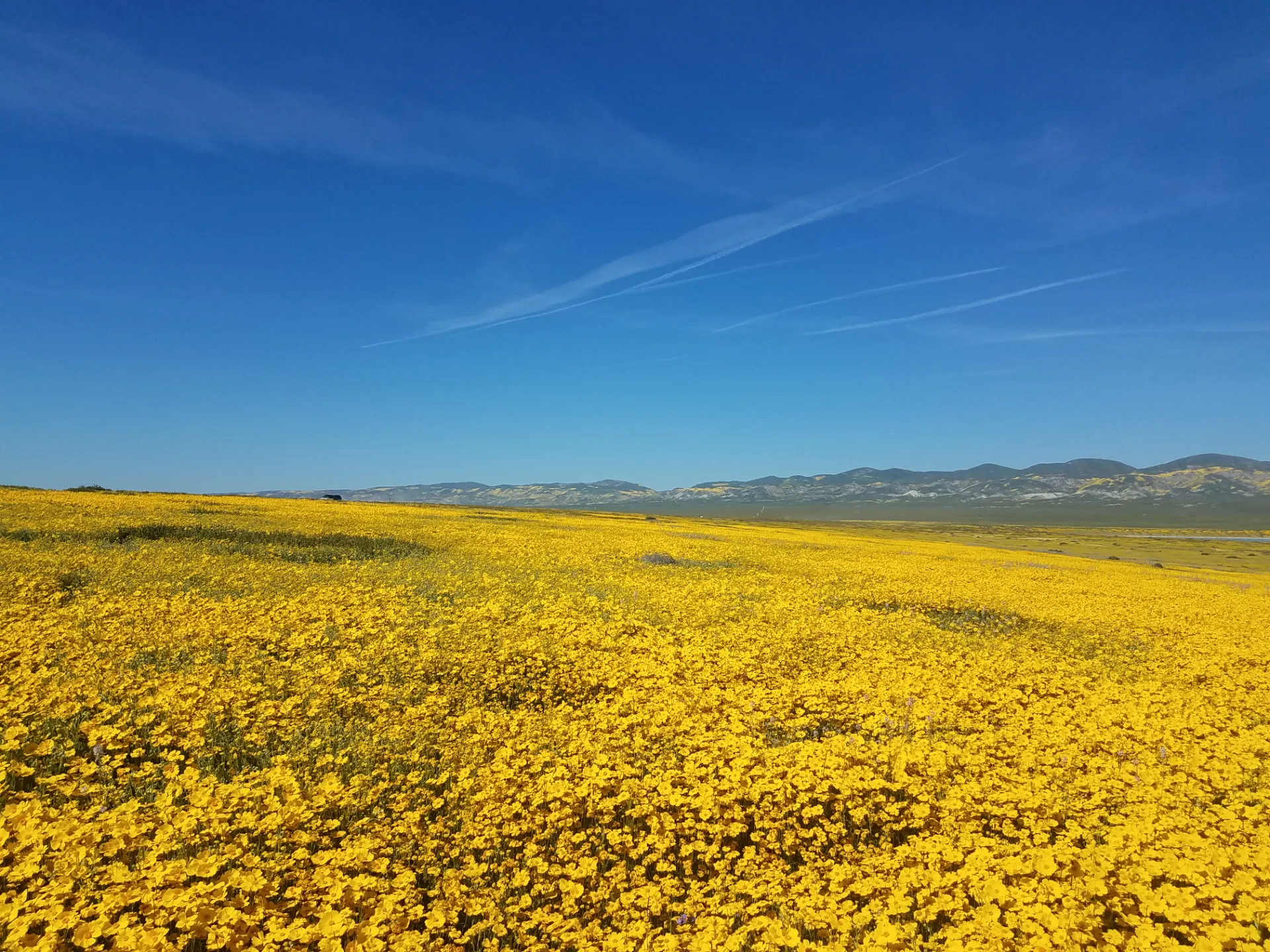 Briana L. | Published - MakerWorld