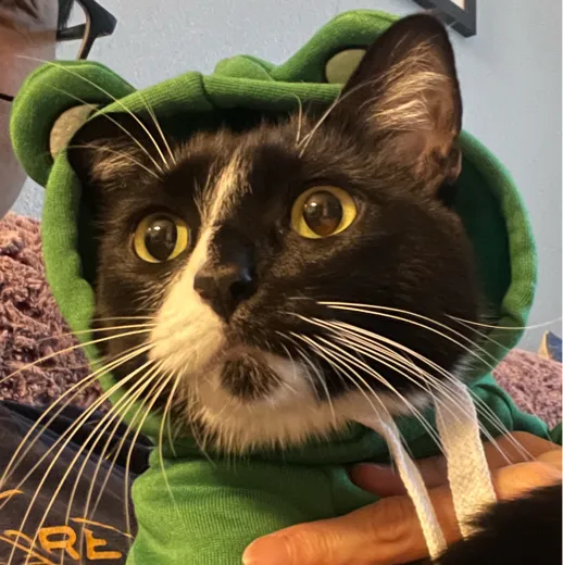 MoKuArt | Published - MakerWorld