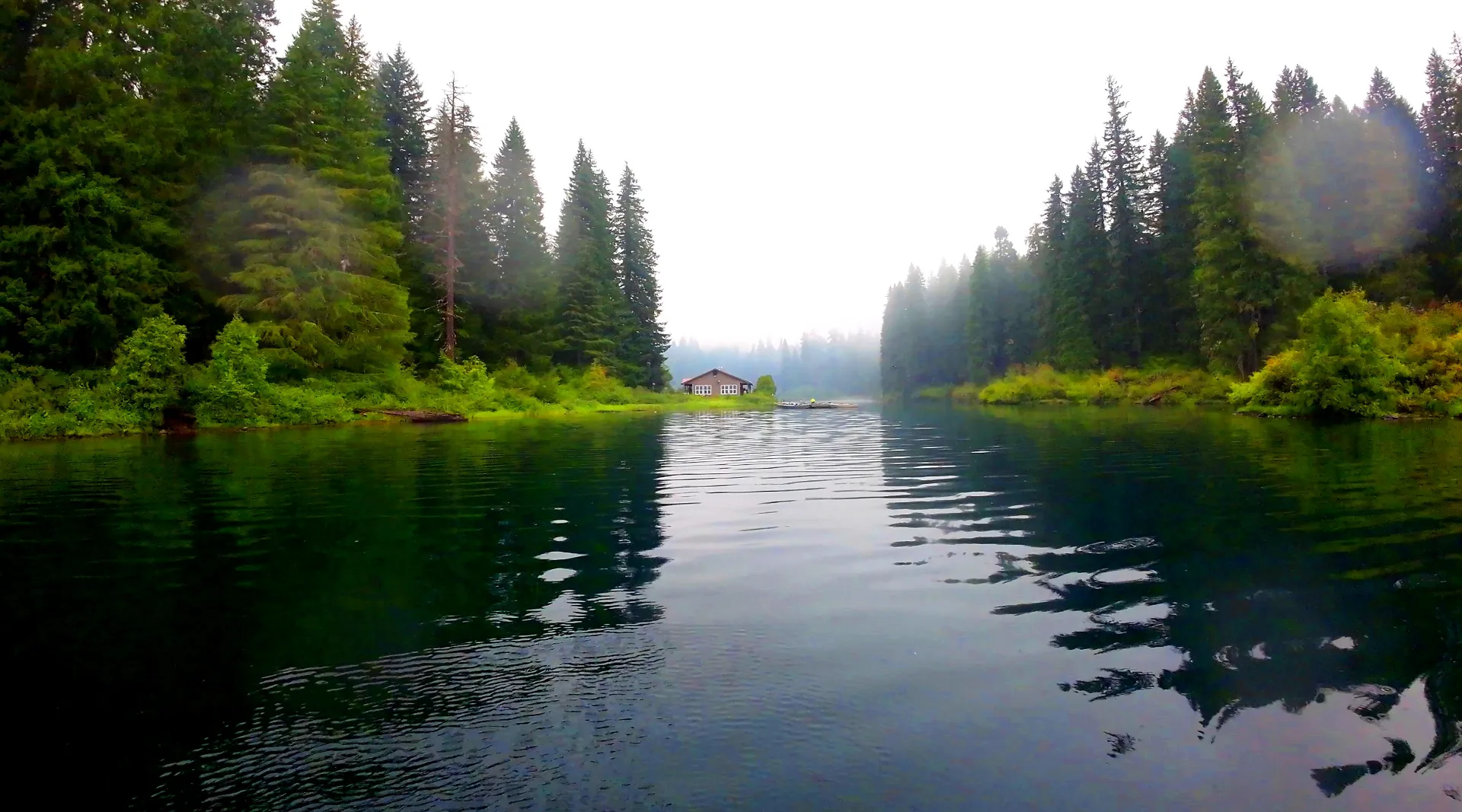 syndicate | Published - MakerWorld