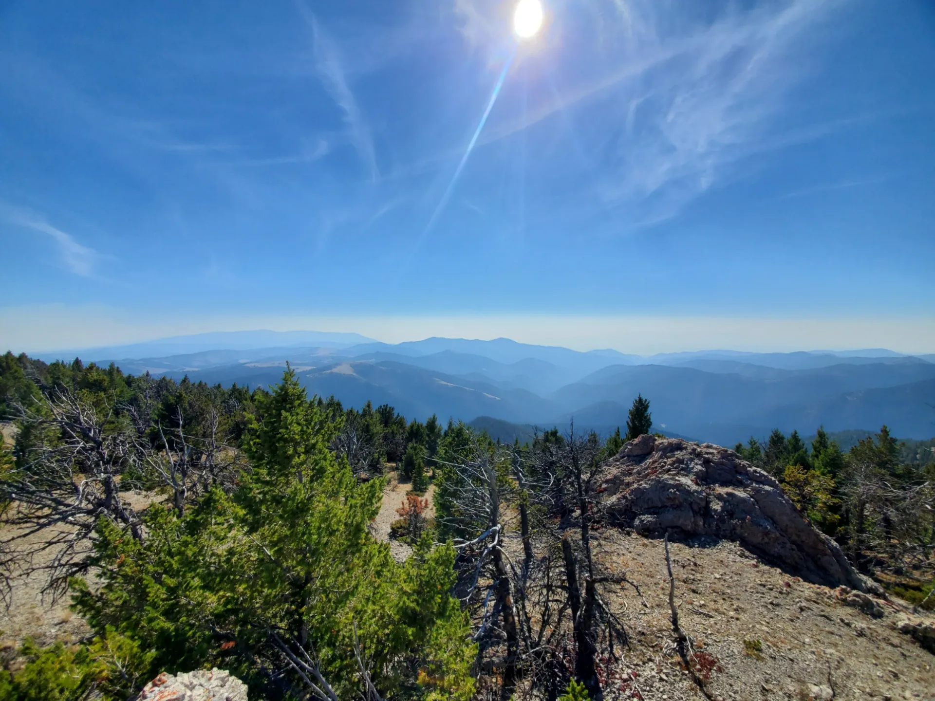 theshandon | Published - MakerWorld