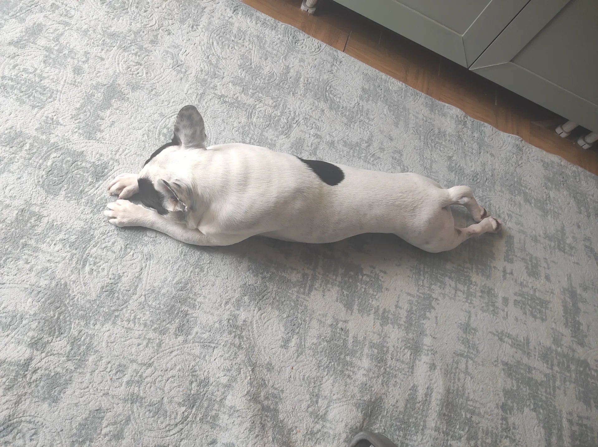 Canerjobs | Home - MakerWorld