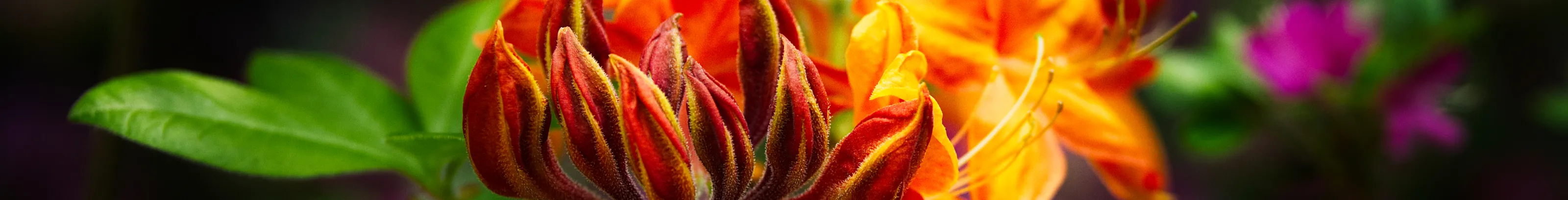 Christoph22_2 | Inicio - MakerWorld