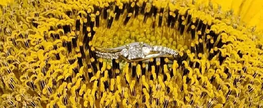 StaticTsunami | Accueil - MakerWorld