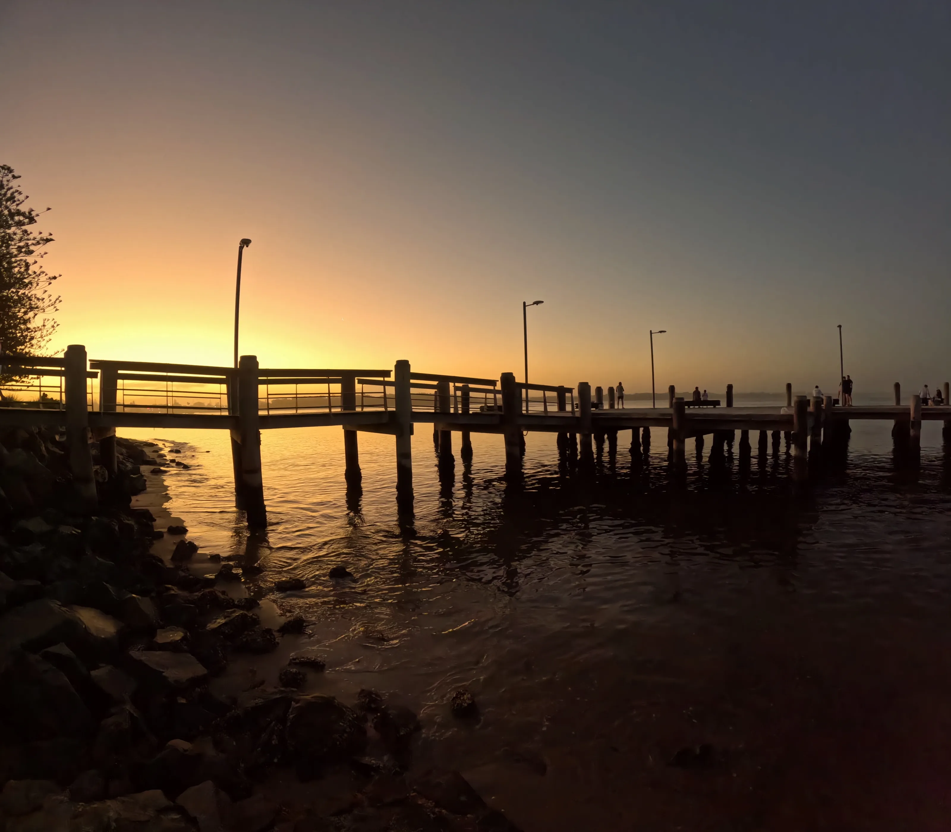 (:DampMoths:) | Collections - MakerWorld