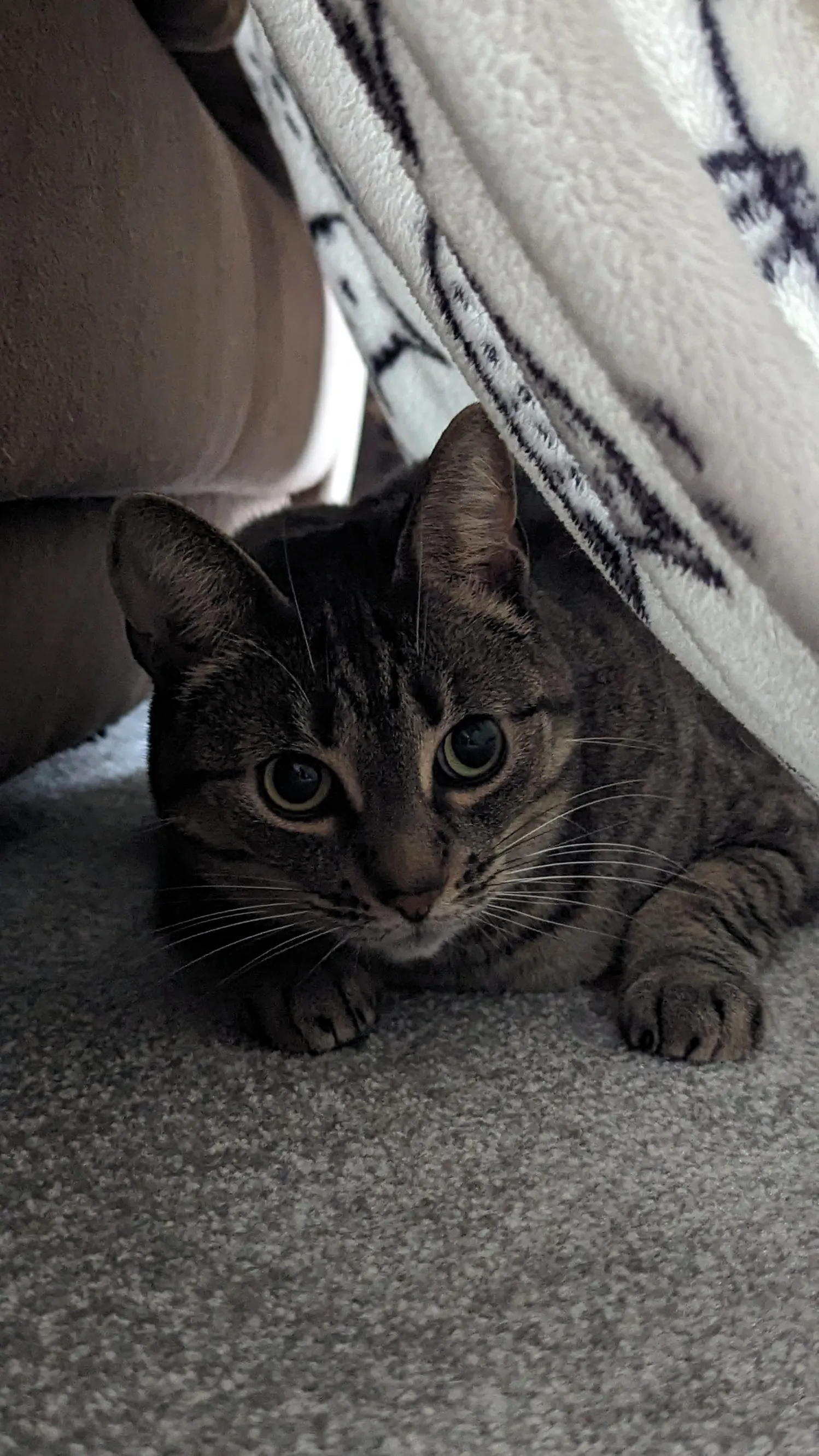 andrewh815 | Startseite - MakerWorld