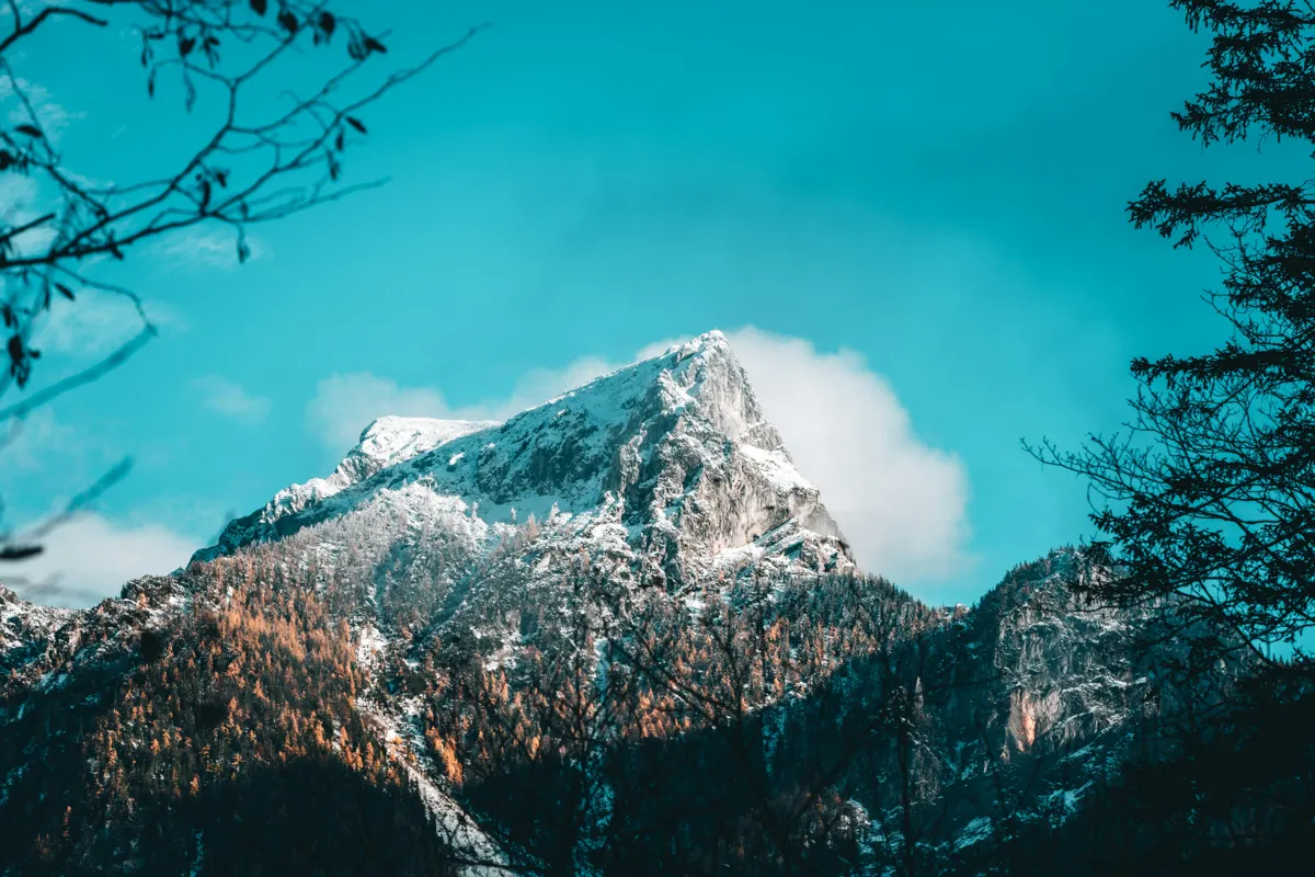 cartyski | Published - MakerWorld