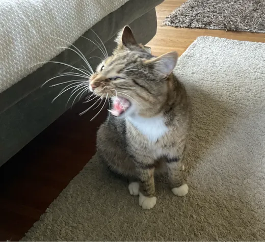 user_3836453889 | Inicio - MakerWorld