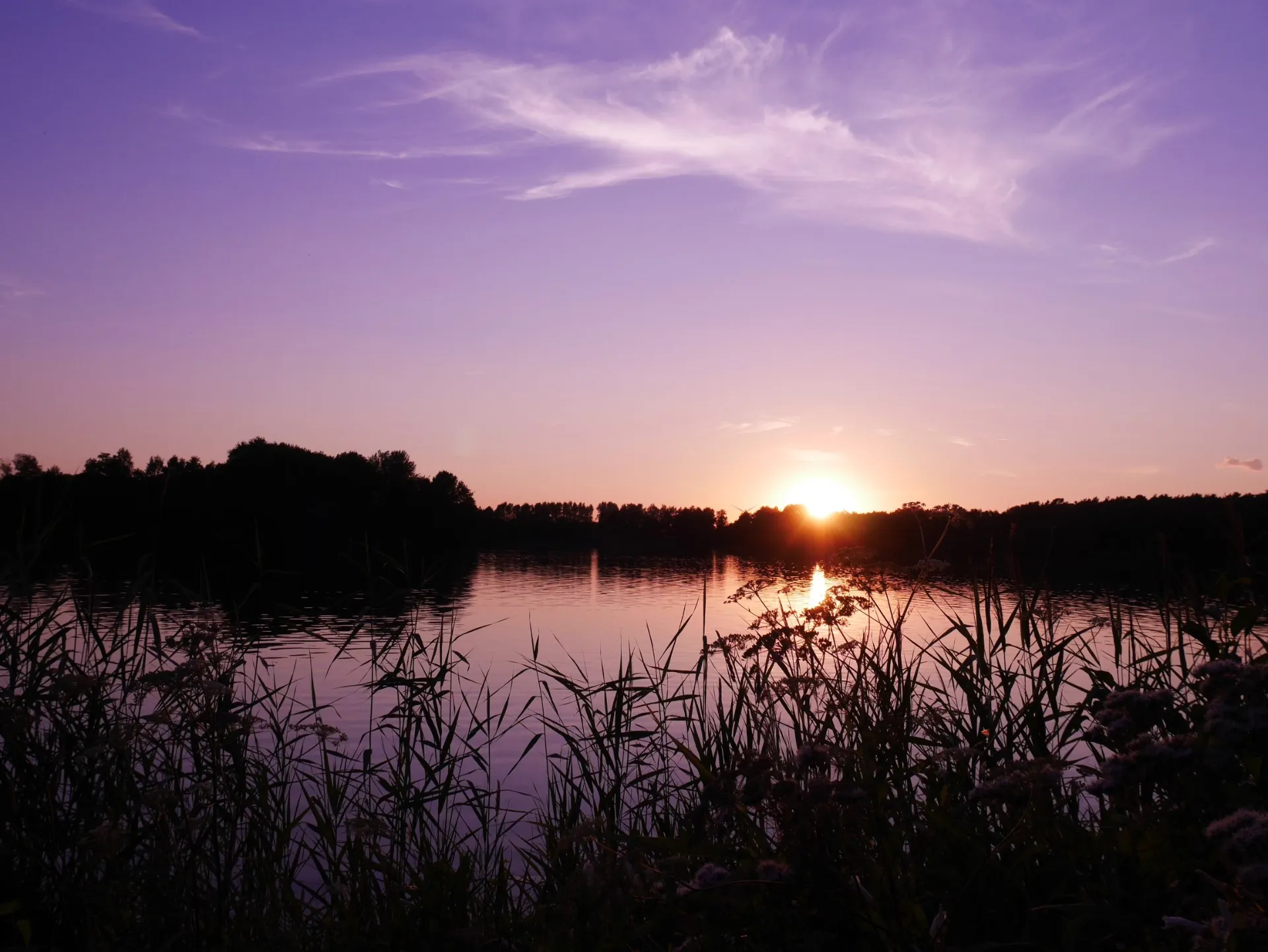 uni_maker | Published - MakerWorld