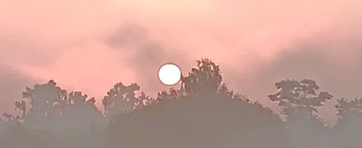 Kultkuh | Collections - MakerWorld