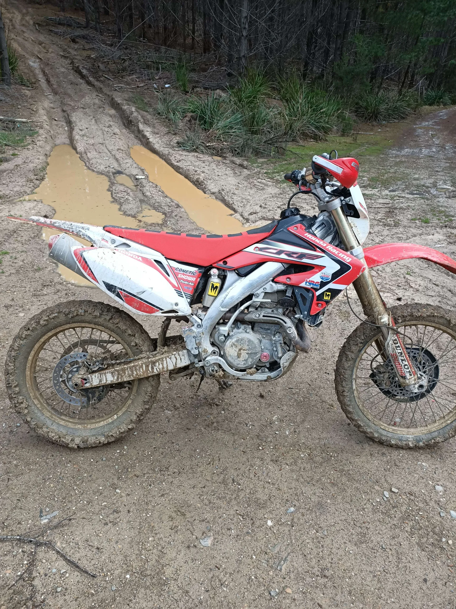 woko | Published - MakerWorld