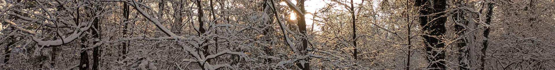 MaKim | Published - MakerWorld