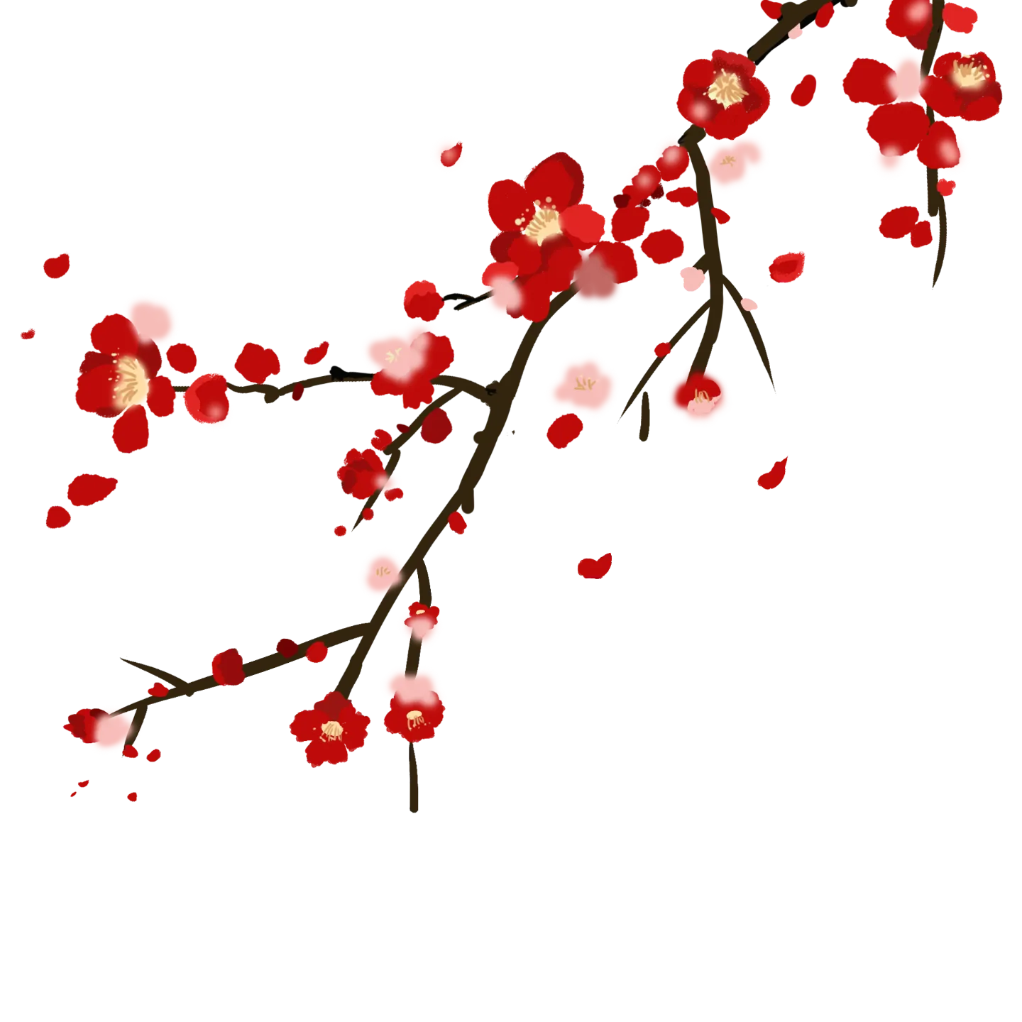 Robert-PS | Home - MakerWorld