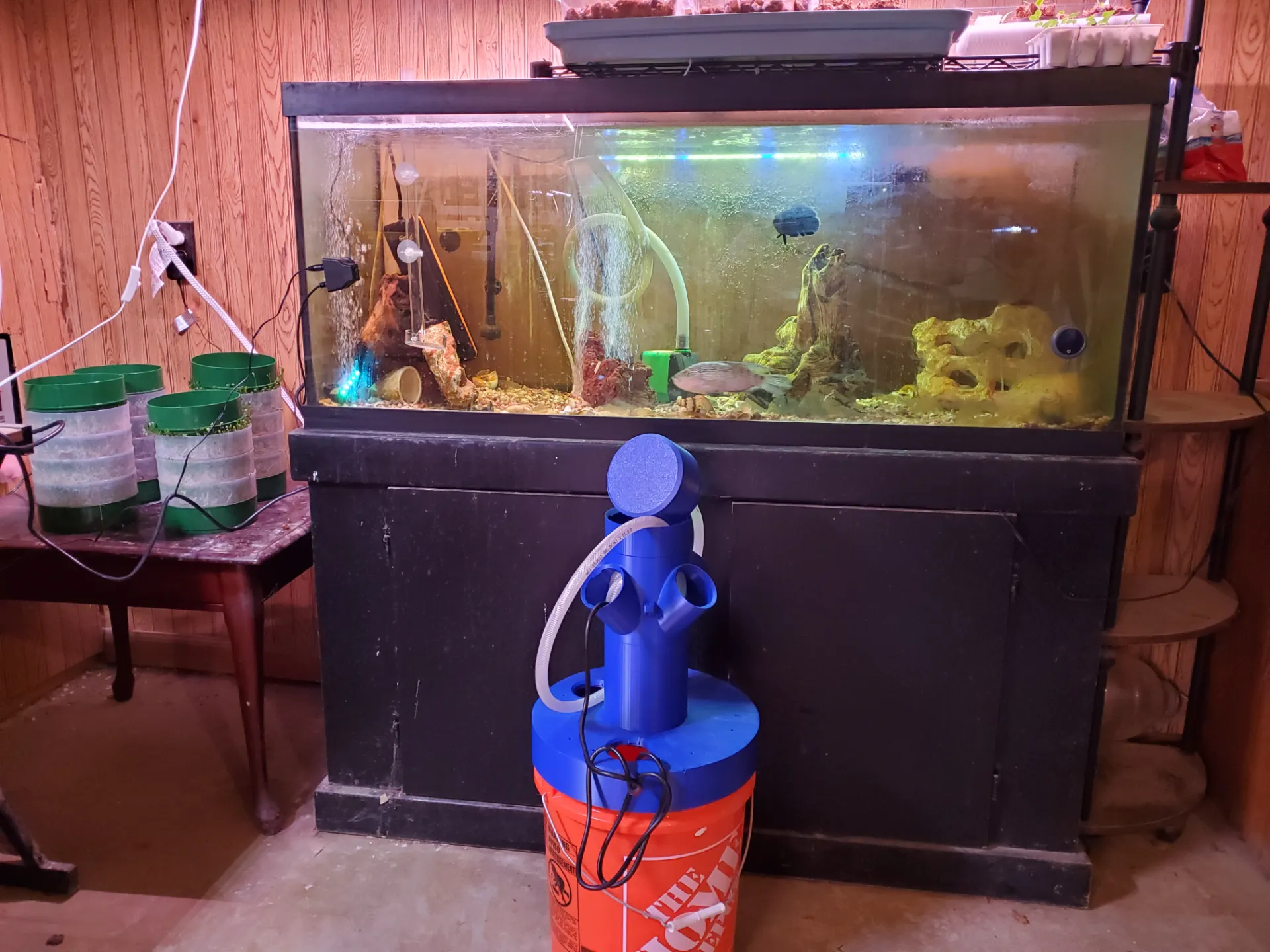 Rhinocerous | Hem - MakerWorld