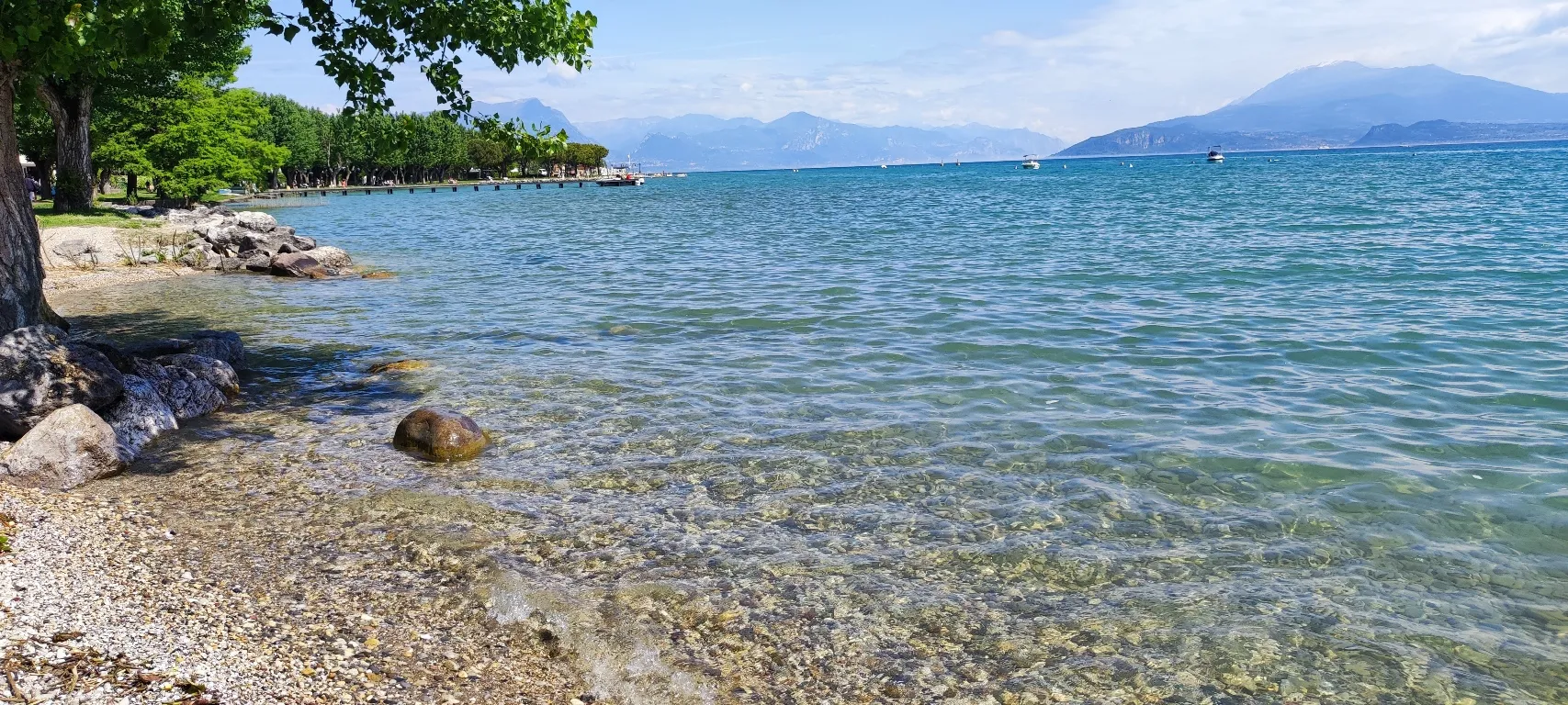 Roger | Published - MakerWorld