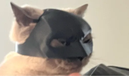 SportingPerformance | Hem - MakerWorld