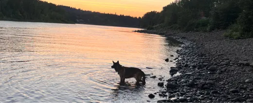 danny | Published - MakerWorld