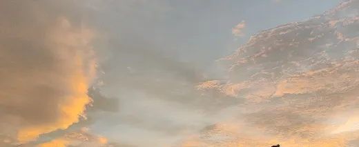 Simonas Stonkus | Home - MakerWorld