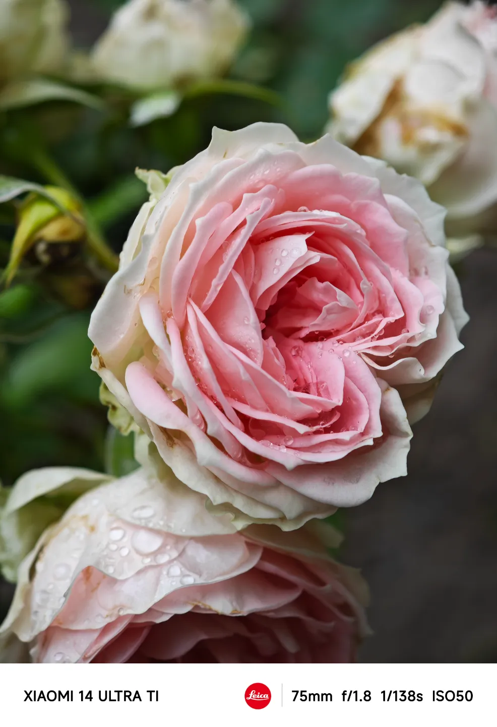 F.. | Inicio - MakerWorld