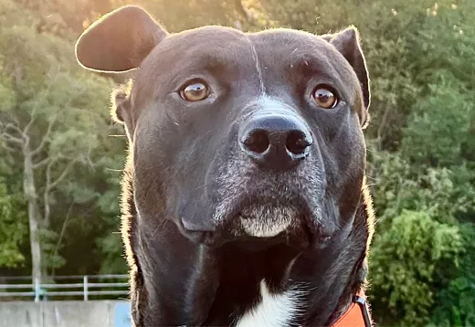 Mike | Published - MakerWorld