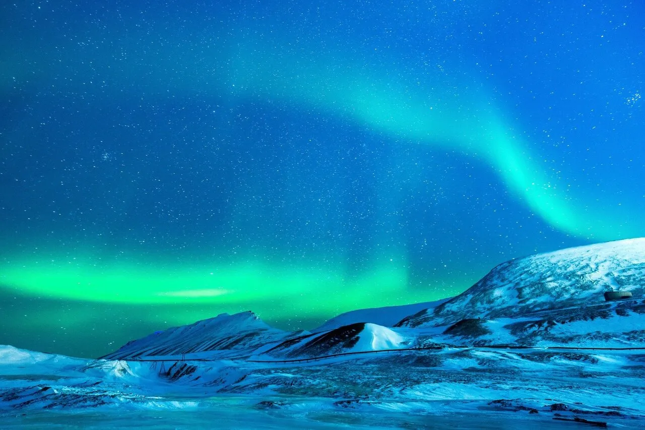 Arctic Prints | Home - MakerWorld