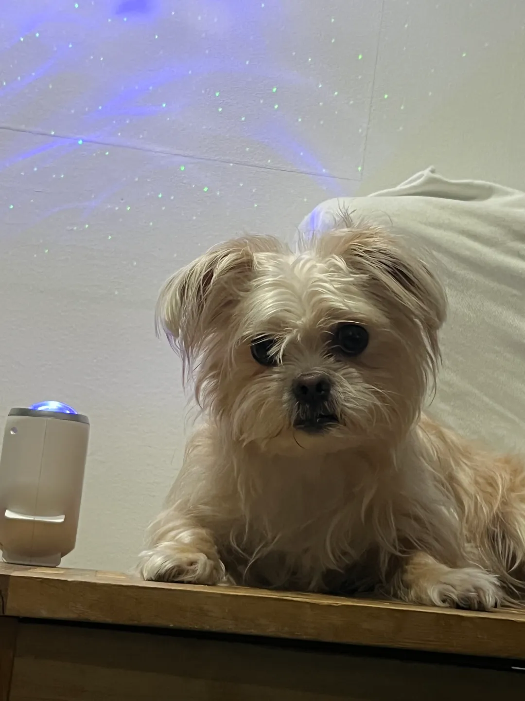 Garsoncreative | Published - MakerWorld