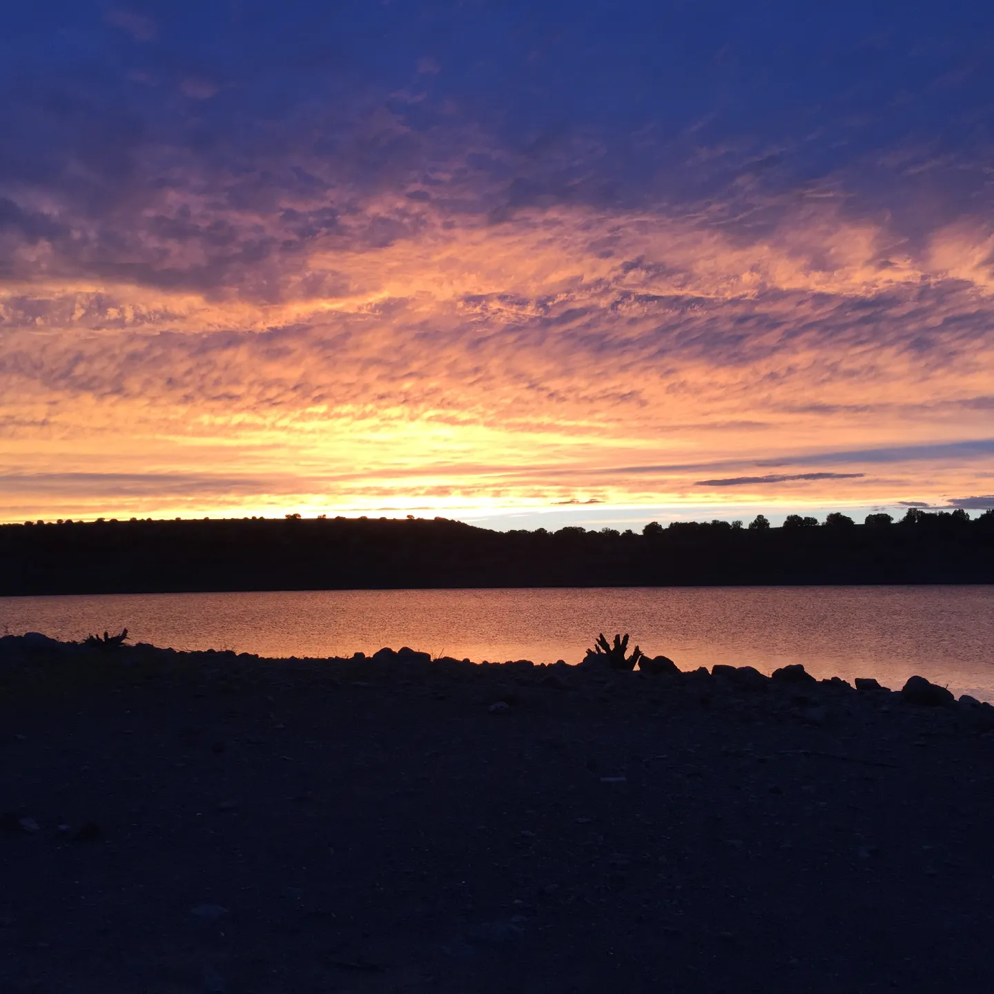 Xgtechs | Published - MakerWorld