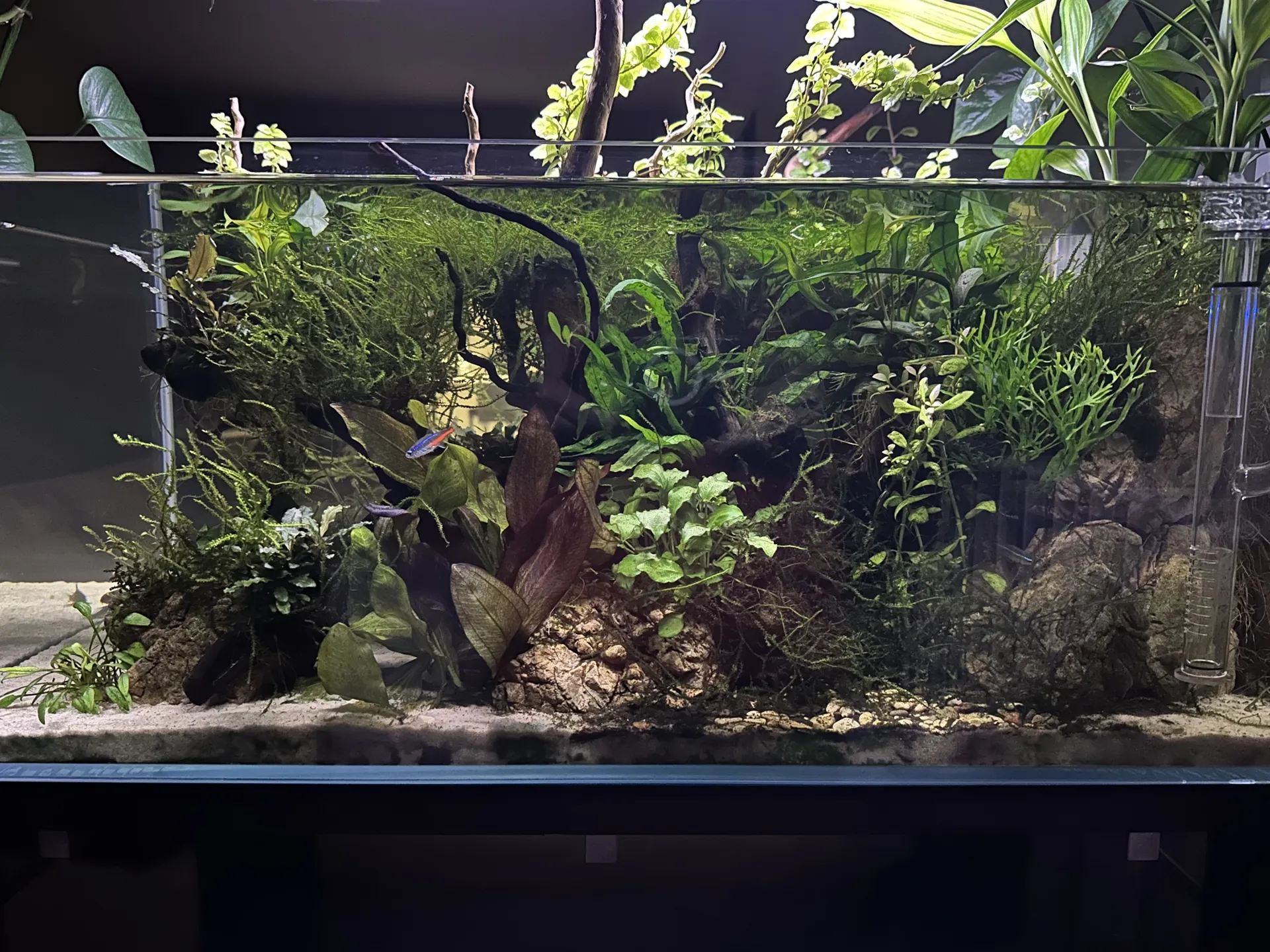 Raffo Design | Published - MakerWorld