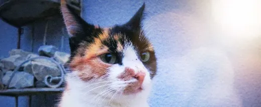 Sas_volley | Accueil - MakerWorld