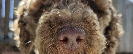 MrFlipple | Startseite - MakerWorld