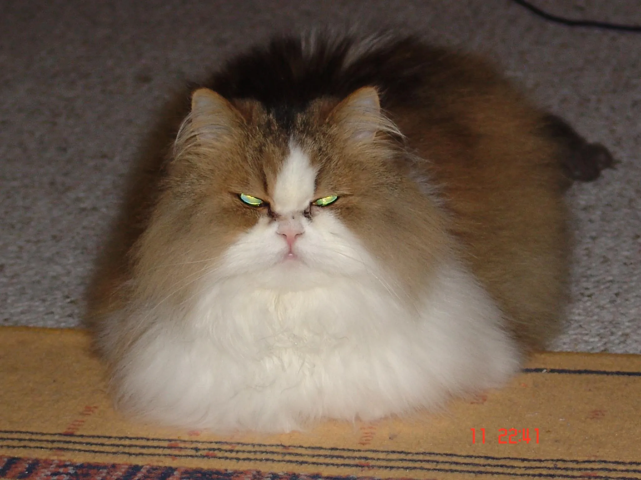 Baja | Followers - MakerWorld