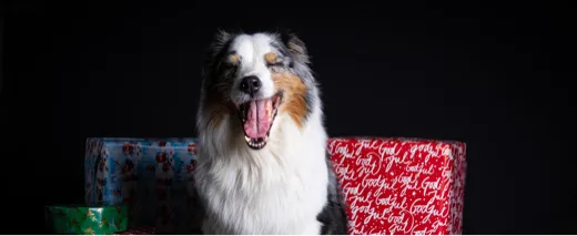 Emma | Followers - MakerWorld