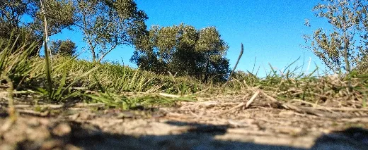 Arno | Home - MakerWorld