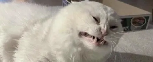 reflect | Published - MakerWorld