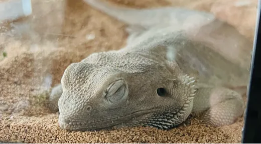 third.dimensional! | Hem - MakerWorld