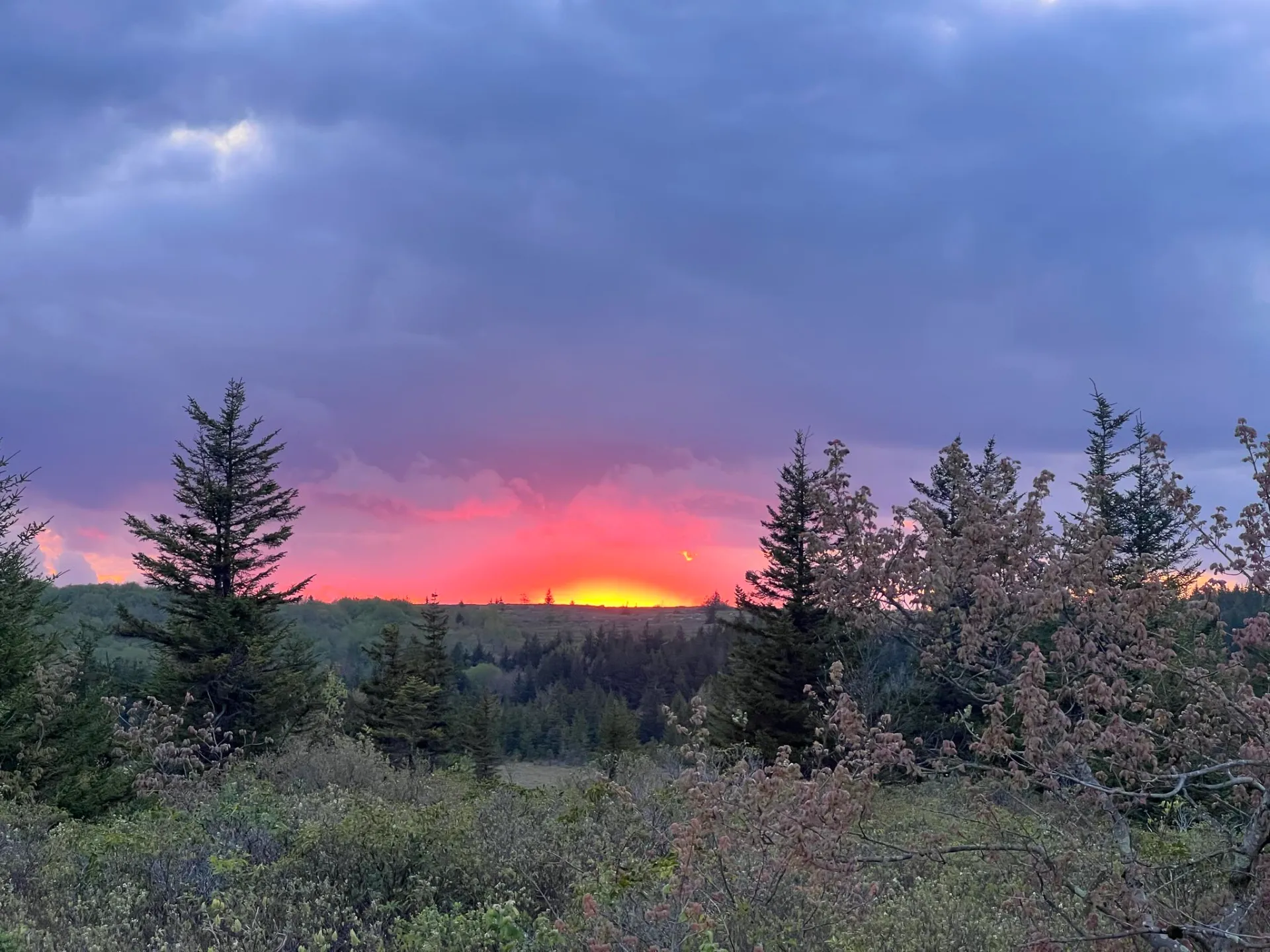 Meagle Crafts | Published - MakerWorld