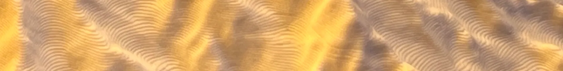 Alex | Startseite - MakerWorld