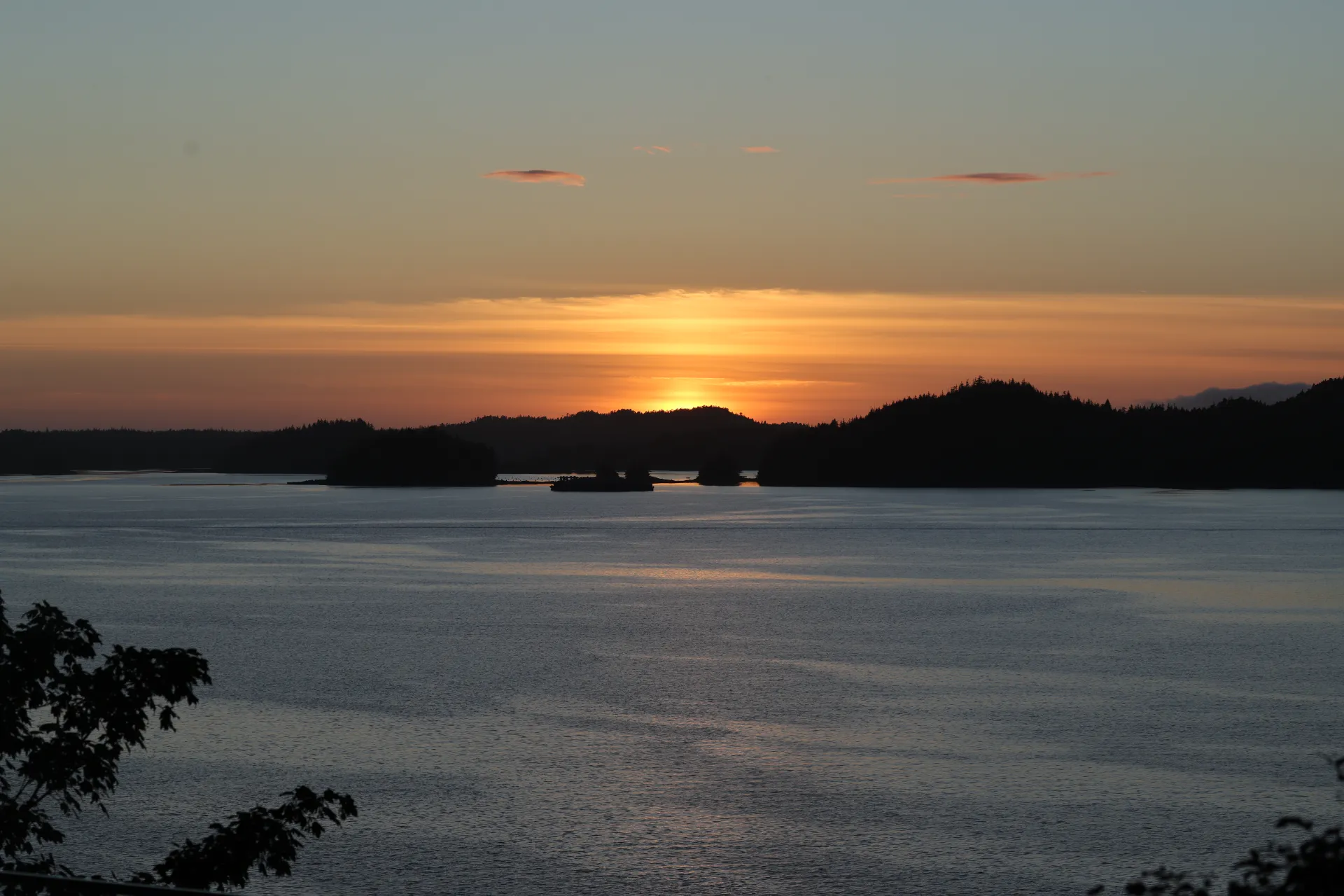 The_Tank | Startseite - MakerWorld