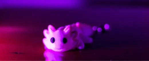 Dimensions Expanded | Home - MakerWorld