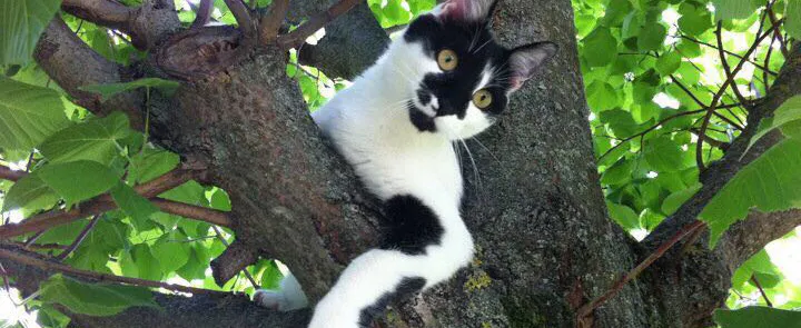 Mattiosk | Inicio - MakerWorld